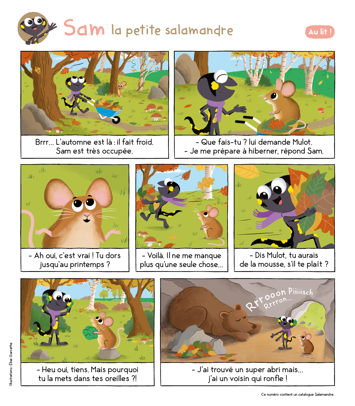 Petite Salamandre - La Salamandre > Pour les lecteurs de 4 à 7 ans - La ...