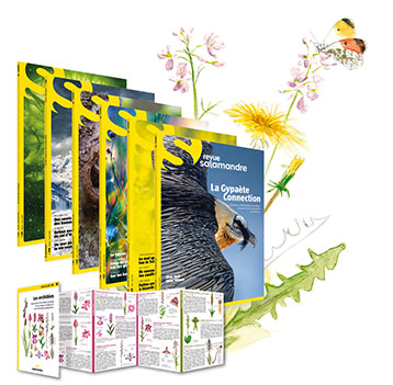 La Salamandre, 3 magazines nature pour tous les âges - La Salamandre